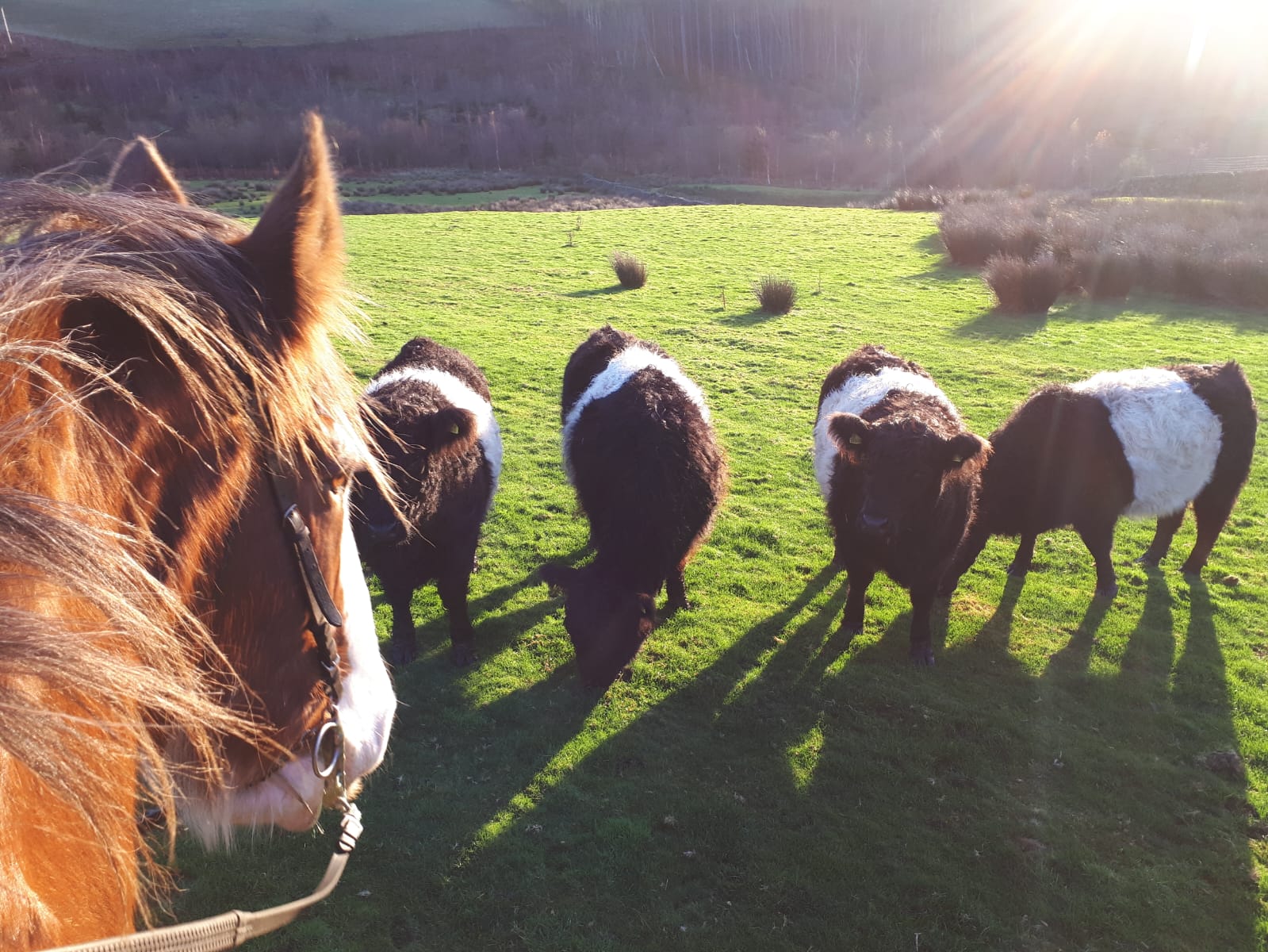 About us | Baystone Bank Farm Campsite